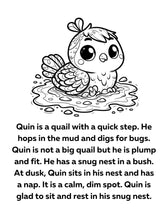 Orton Gillingham Decodable Coloring Stories K-1 | Classroom Companions