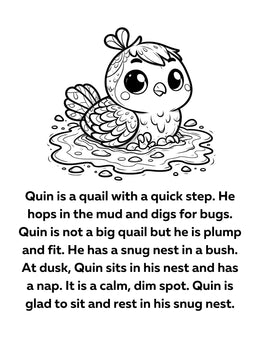 Orton Gillingham Decodable Coloring Stories K-1 | Classroom Companions